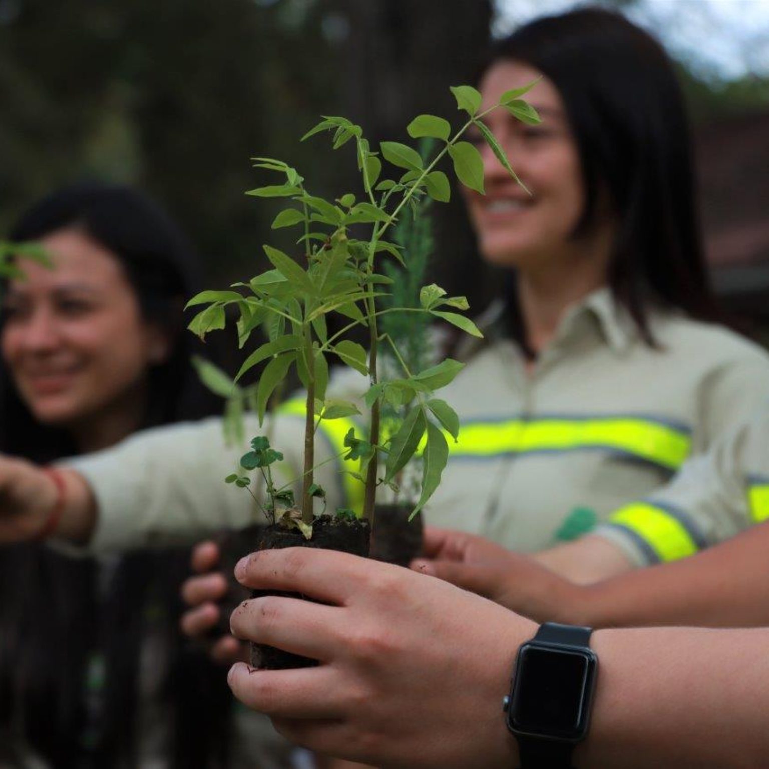 Cementos Progreso, es una compañía guatemalteca, con más de 100 años de historia