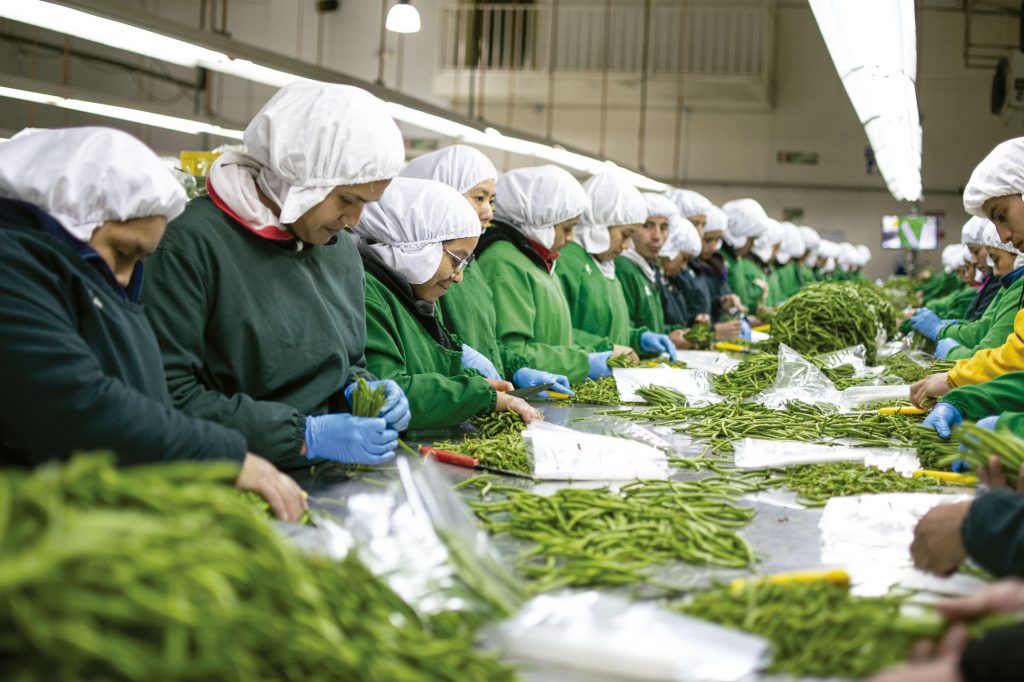 Cementos Progreso, es una compañía guatemalteca, con más de 100 años de historia